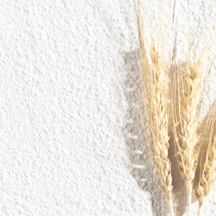 Wheat Flour Types: German vs. American Flour – The Brot Box